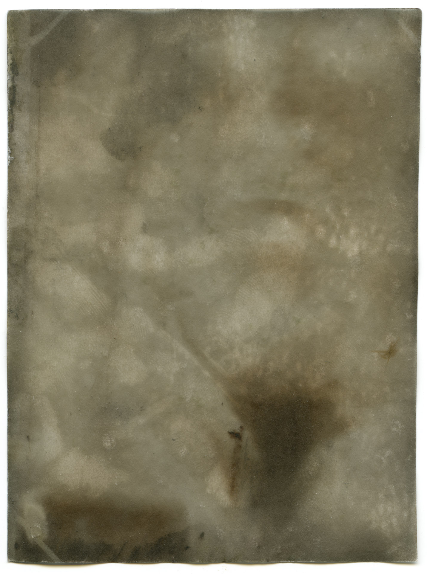 Calotypes, finally!