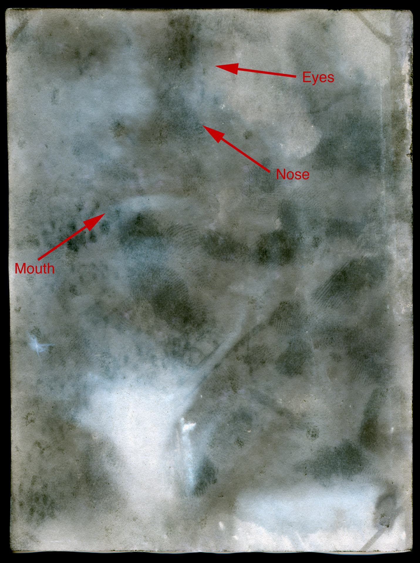 Calotypes, finally!